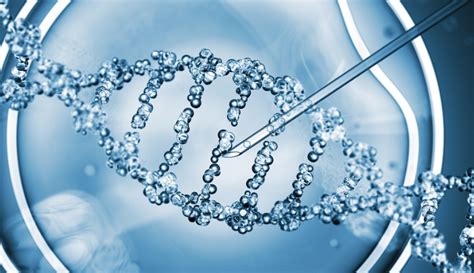 Importance Of Genetic Tests In Predictive Healthcare