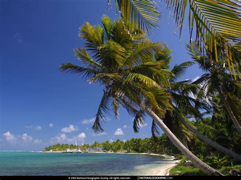 Belize Images Belize Wallpapers Hd Wallpaper And Background Photos 681085
