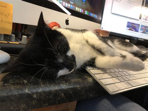 tech support scrolller