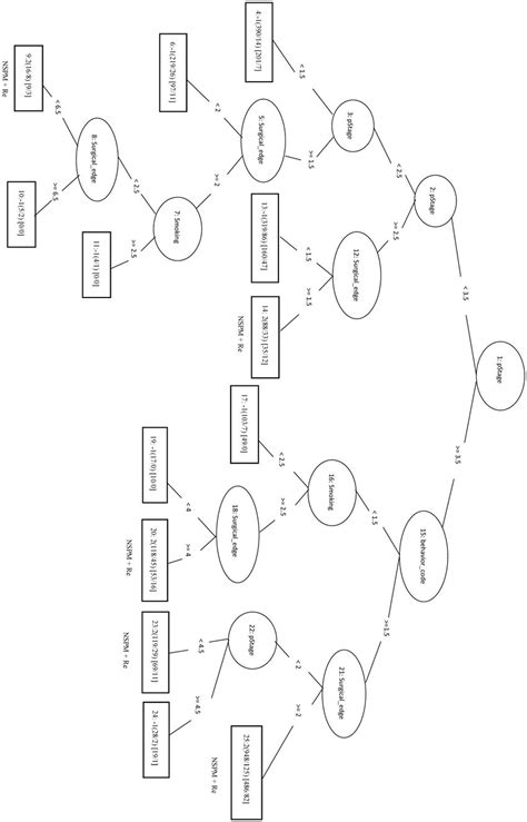 Decision Tree Of Important Factors For Nspm Re Classification Using The