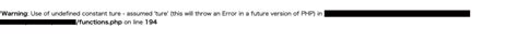 Wordpressでwarning Use Of Undefined Constant Ture Assumed Tureが出る