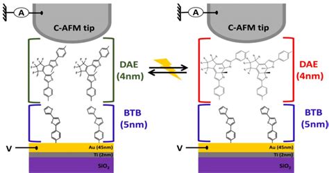 schematic illustration of sio2 ti2 au btb dae c afm tip pt ir