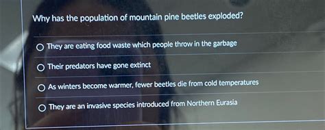 Solved Why Has The Population Of Mountain Pine Beetles