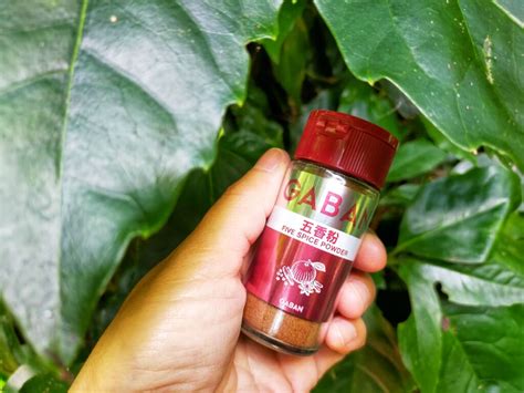 なんでも中華味になってしまう？ 中国のミックススパイス「五香粉」でソトゴハン【麺料理編】 Soto Lover ソトラバ ～ソトラバ