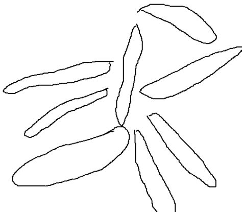 Radially Oriented Elongated Grains · Neperfepx Neper · Discussion 430