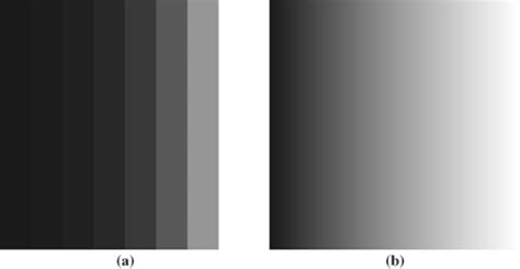 illustrating the intensity discretization with a 4 bit images and b 8