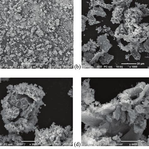 SEM Images Of Synthesized Fe V 2 O 5 Nanoparticles A Pure B 5 Wt