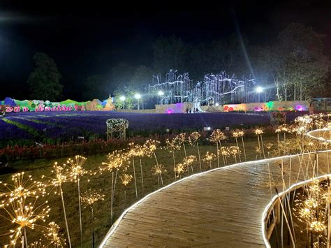 งานมนต์เสน่ห์เชียงใหม่ เมืองดอกไม้งาม ประจำปี 2566 ขยายเวลา ถึง 16