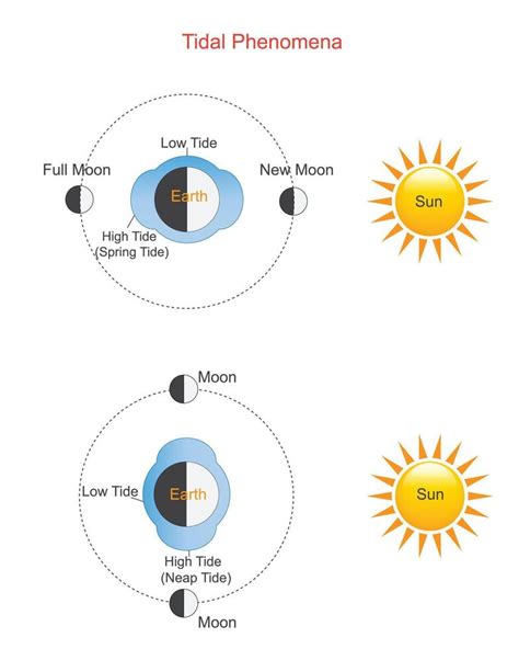 Tidal Phenomena Gravitational Forces Between Earth Moon And Sun Causing Cyclic Rise And Fall