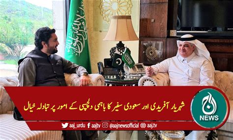 شہریار آفریدی اور سعودی سفیر کا باہمی دلچسپی کے امور پر تبادلہ خیال Aaj
