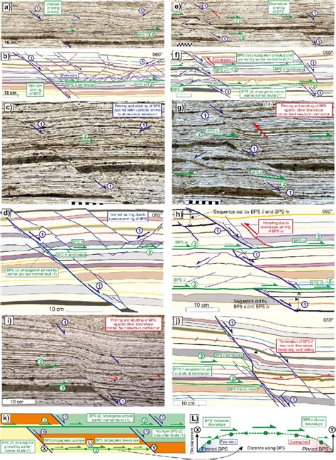 Photograph A And Associated Line Drawing C Showing An Older