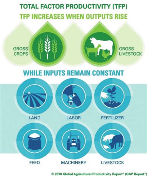 2 Total Factor Productivity Source 2018 Global Agricultural