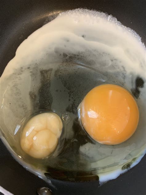 卵を割ったら中身がなんと謎の塊だった・・・！！！これって食べられるの？ いきぬき2ちゃんねる