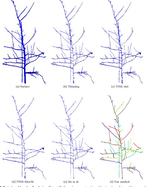 Fast And Robust Curve Skeletonization For Real World Elongated Objects