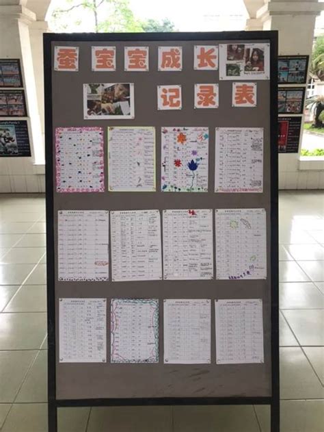 三年级养蚕记录表三年级科学养蚕记录表大山谷图库