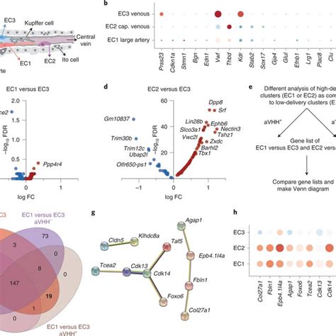 Cell Subsets Differentially Uptake Lnps Ab Normalized Barcode