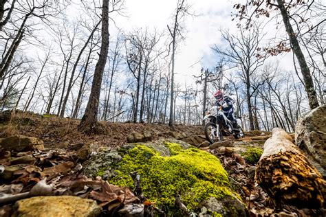 Xr650l Dual Sport Motorcycle Honda