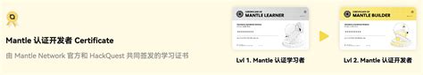 直击黑客松：solidity 开发实战 — Web3 开发免费共学营（第29期） 电鸭社区