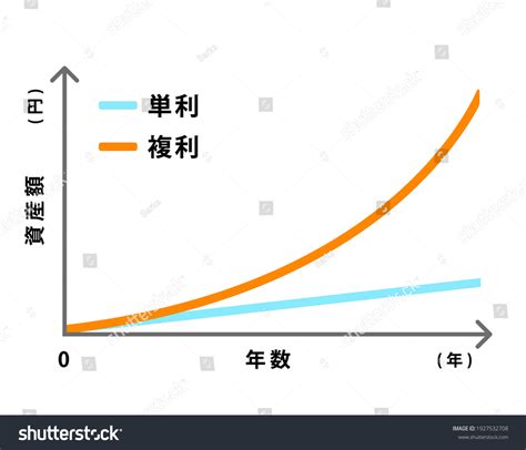 Comparison Graph Illustration Compound Interest Simple Stock Vector Royalty Free