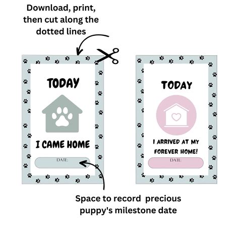 Puppy Milestone Cards Printable Pet Milestone Cards This Set Etsy