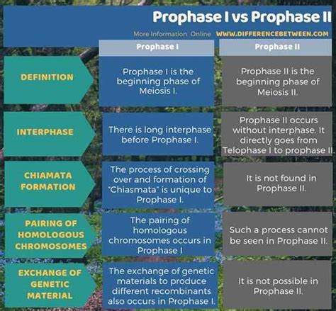 Perbedaan Antara Prophase I Dan Prophase II Prodiffs