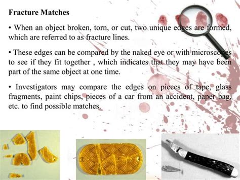 Forensic Science