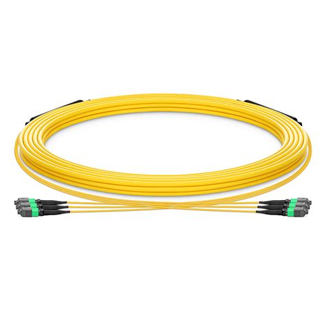 30m 100ft Mtp® 12 Male To Mtp® 12 Female Os2 9125 Single Mode