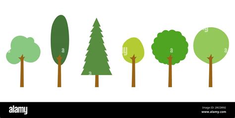 Green Different Type Tree Collection On White Background Pictogram