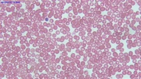 行业解决方案 Touptek 杭州图谱光电科技有限公司