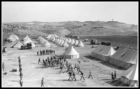Inter War Photographs Of Various Military Vehicles Together In The