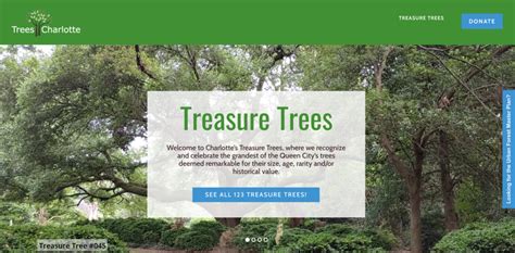 Trees Charlotte Treasure Trees 1893 Brand Studio