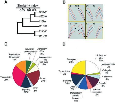 Cluster Analyses Of Gene Expression Profiles Of Normal And Transplanted