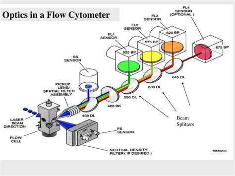 Ppt Fundamentals And Applications Of Flow Cytometry Scott Tighe Flow Cytometry Core Lab At The
