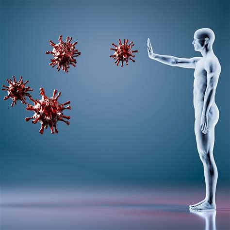 Understanding The Thymus Gland Walk In Lab