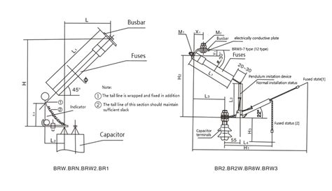 Grl High Voltage Fuse Capacitor Protection Fuses Xrnc、brw、br2w Series