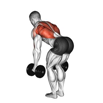 Back Home Workout Routine Created By Daniil Leonko