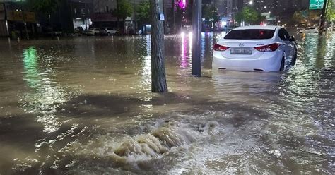 역류하는 배수구