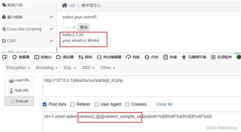 Pikachu靶场练习——sql注入pichachu搜索型注入 Csdn博客