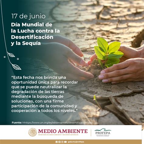 Día Mundial de la Lucha contra la Desertificación y la Sequía