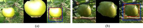 Segmentation And Localization Results Of Fruit Targets With Different