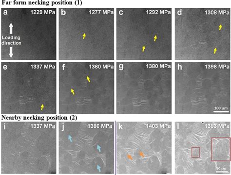 In Situ Observation Of The Lateral Surface Morphology Evolution Of