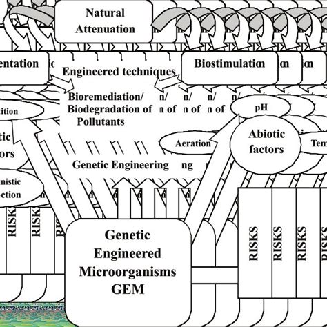 Pdf An Overview Of Biodegradation Of Organic Pollutants
