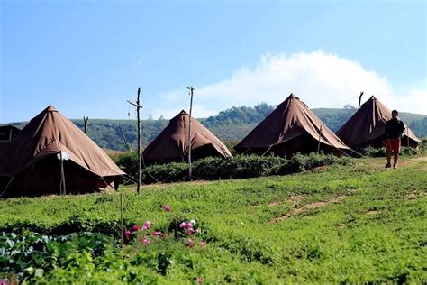 ไ ร่ ล ม ห ที่พักภูลมโล ที่ไร่ลมหนาว บ้านร่องกล้า