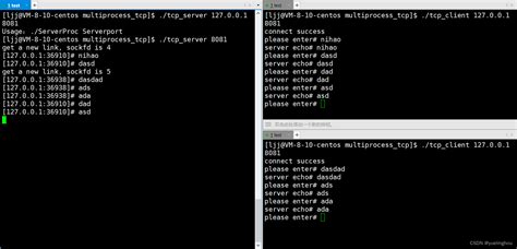 【网络】socket套接字编程 Csdn博客