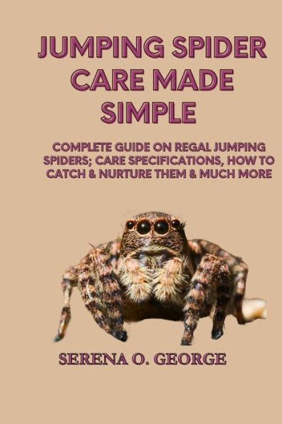 Jumping Spider Care Made Simple Complete Guide On Regal Jumping Spiders Care Specifications