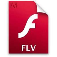 Difference Between FLV And FLA FLV Vs FLA