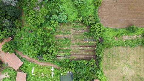 A Rede Xique Xique E As PrÁticas De CertificaÇÃo Participativa No Rio