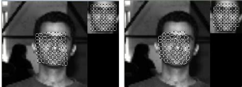 Elastic Graph Matching Egm Demonstrations With Or Without Vertices Of Download Scientific