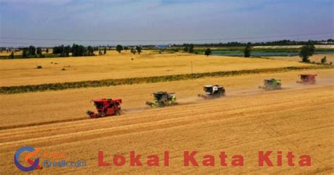 Indonesia Sumbang 1605 Persen Pdb China Disektor Pertanian Dan