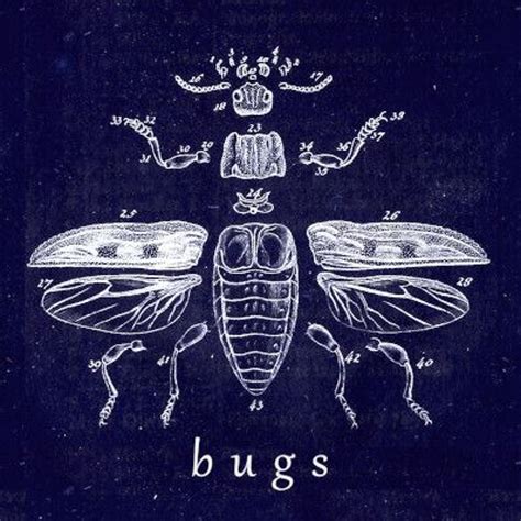 Stream Timandra Comae By Air Benecchi Listen Online For Free On